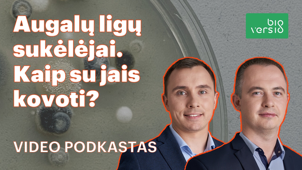 Augalų ligų sukėlėjai rudenį – kaip su jais kovoti • Bioversio