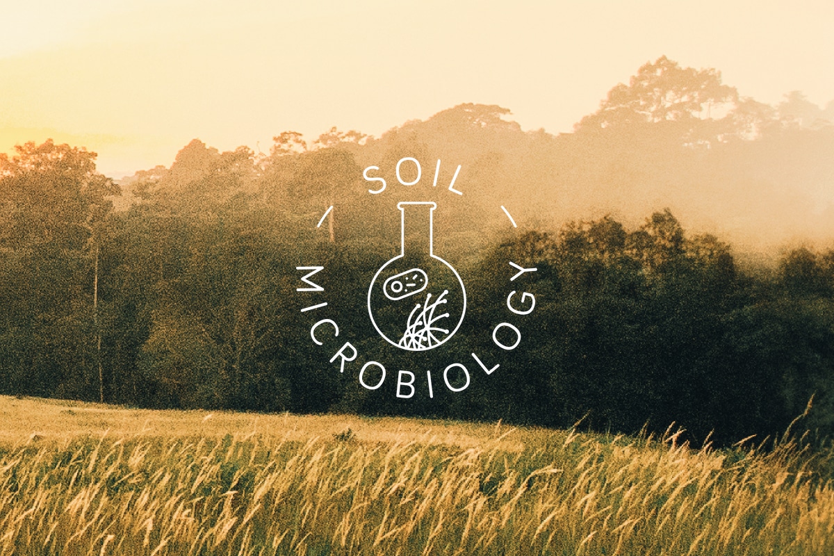 Microbiological processes in crop soil • Bioversija