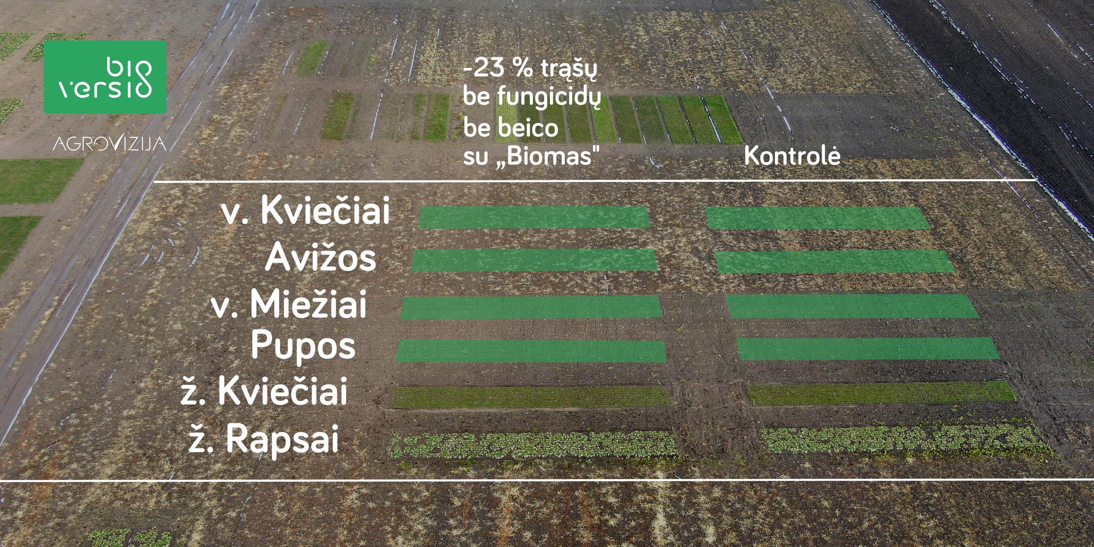 Bioversio „Agrovizijoje 2022″ • Bioversio