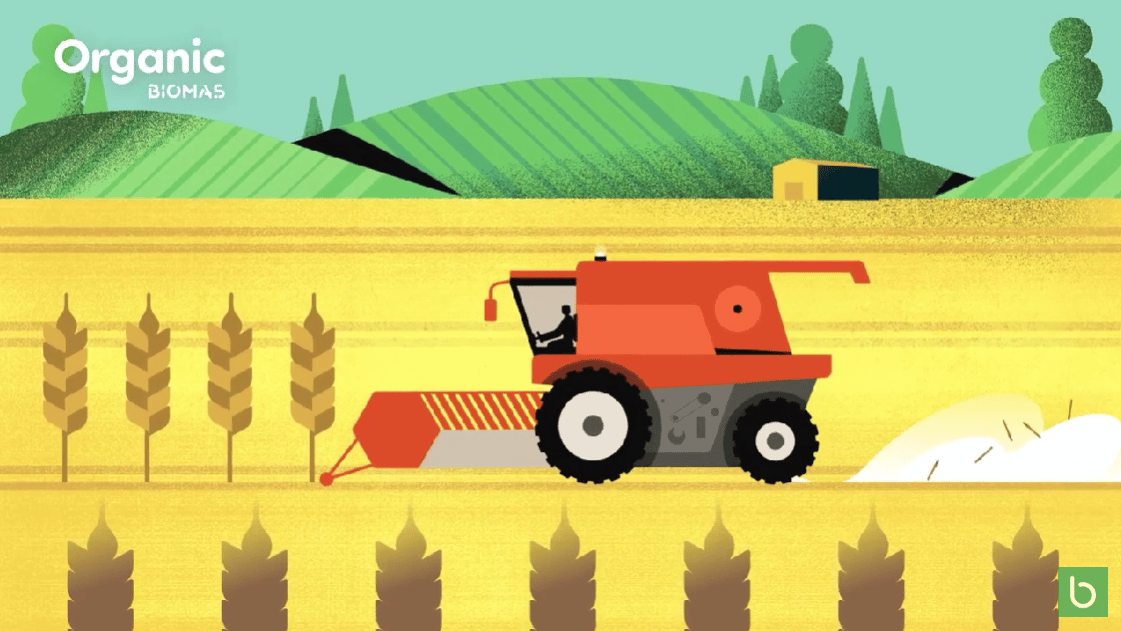 Decomposition of plant residues - Biomas ORGANIC • Bioversija