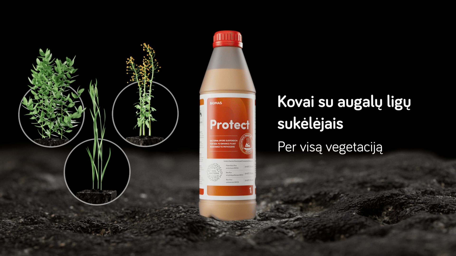 Biomas PROTECT dirvožemio bakterijų veikimas • Bioversio