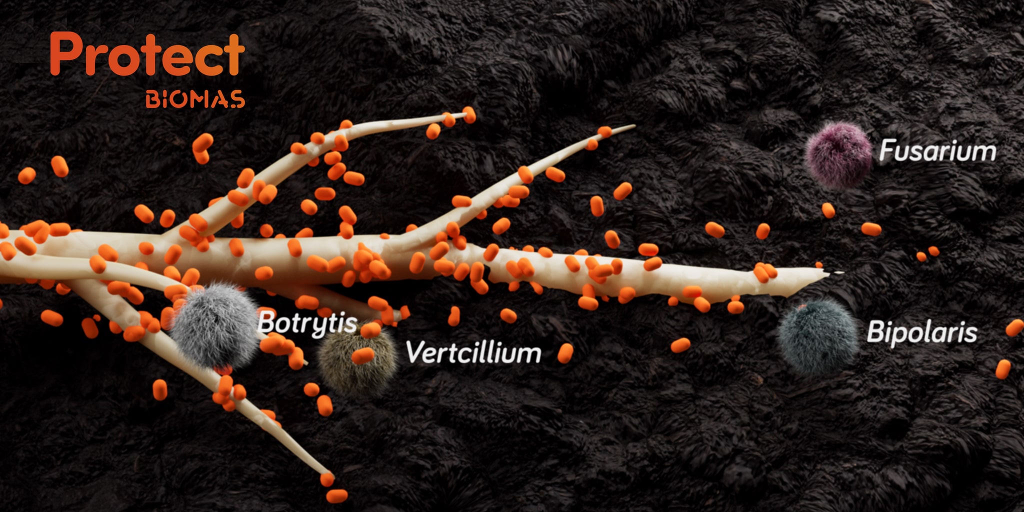 HAVE HEALTHIER SPRING CROPS! • Bioversija