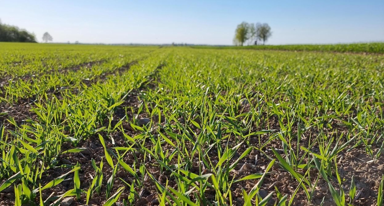 SUVIKULTUURIDE TOITUMINE • Bioversija